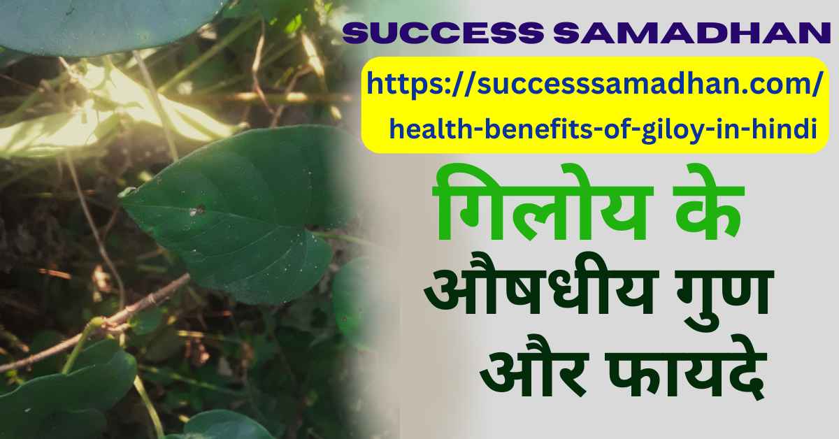 14 Health benefits of giloy in hindi: गिलोय के फायदे Success Samadhan