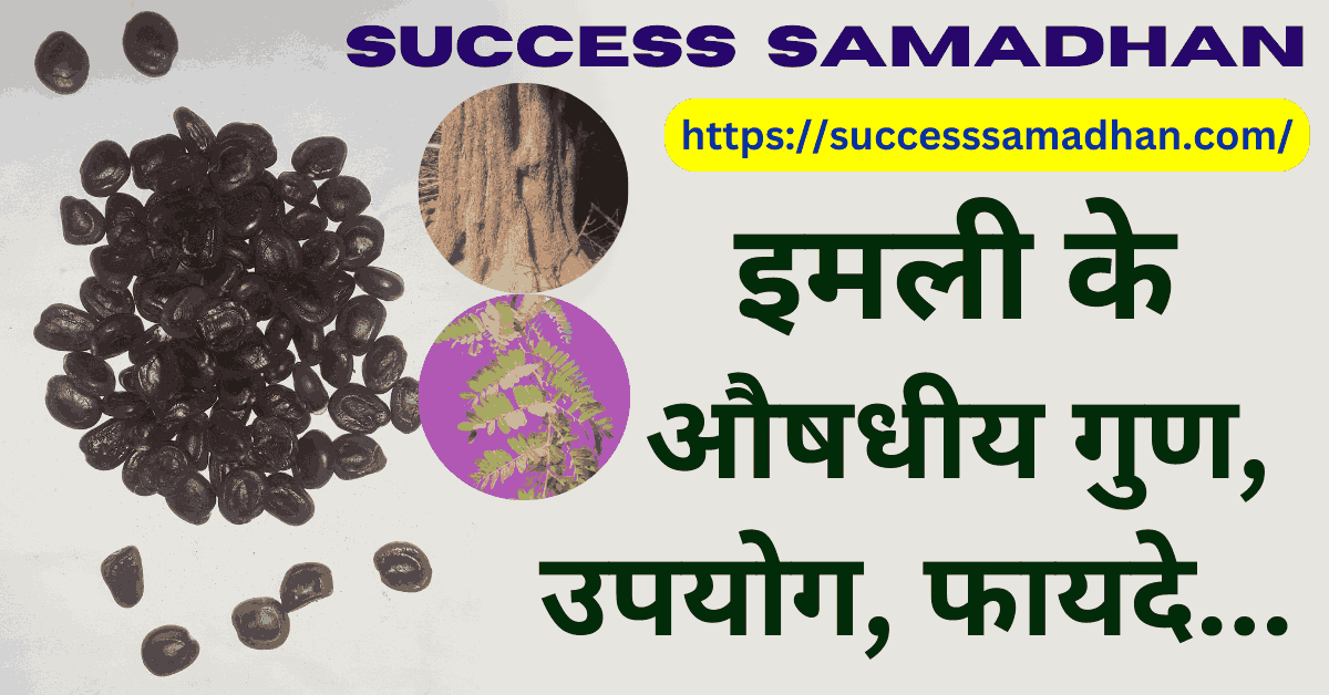 इमली बीज के 14 हिडन फायदे | Imli beej ke fayde Success Samadhan